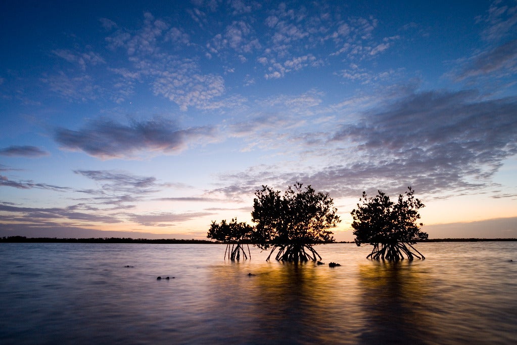 Home | Doug Thompson Photography